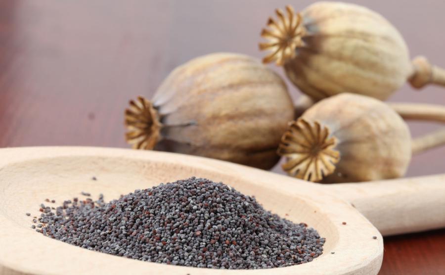 Mak jako narkotyk, a może lek? Właściwości odżywcze i prozdrowotne ...